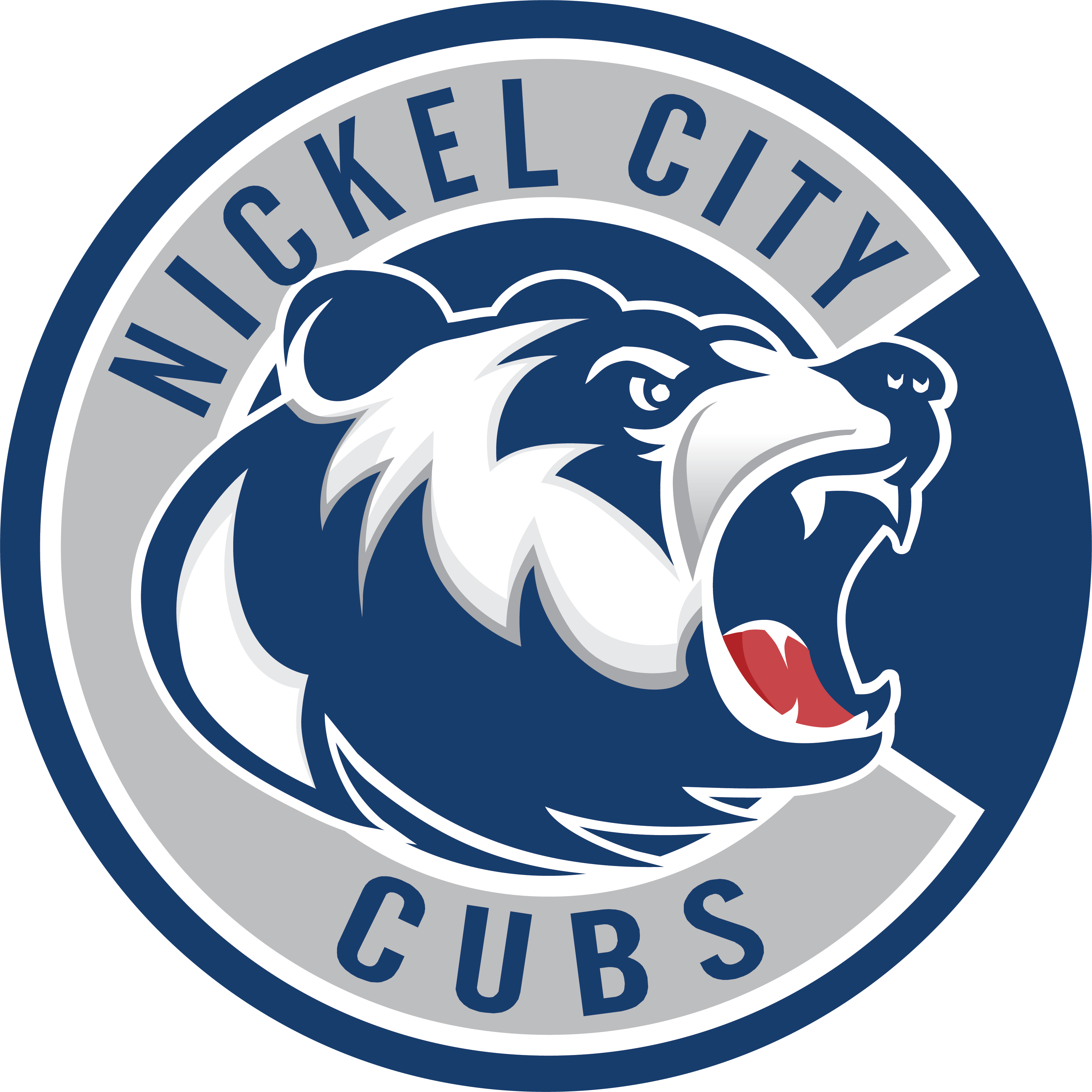 Nickel City Logo **LIVE** Roller Derby Season Closer Nickel City